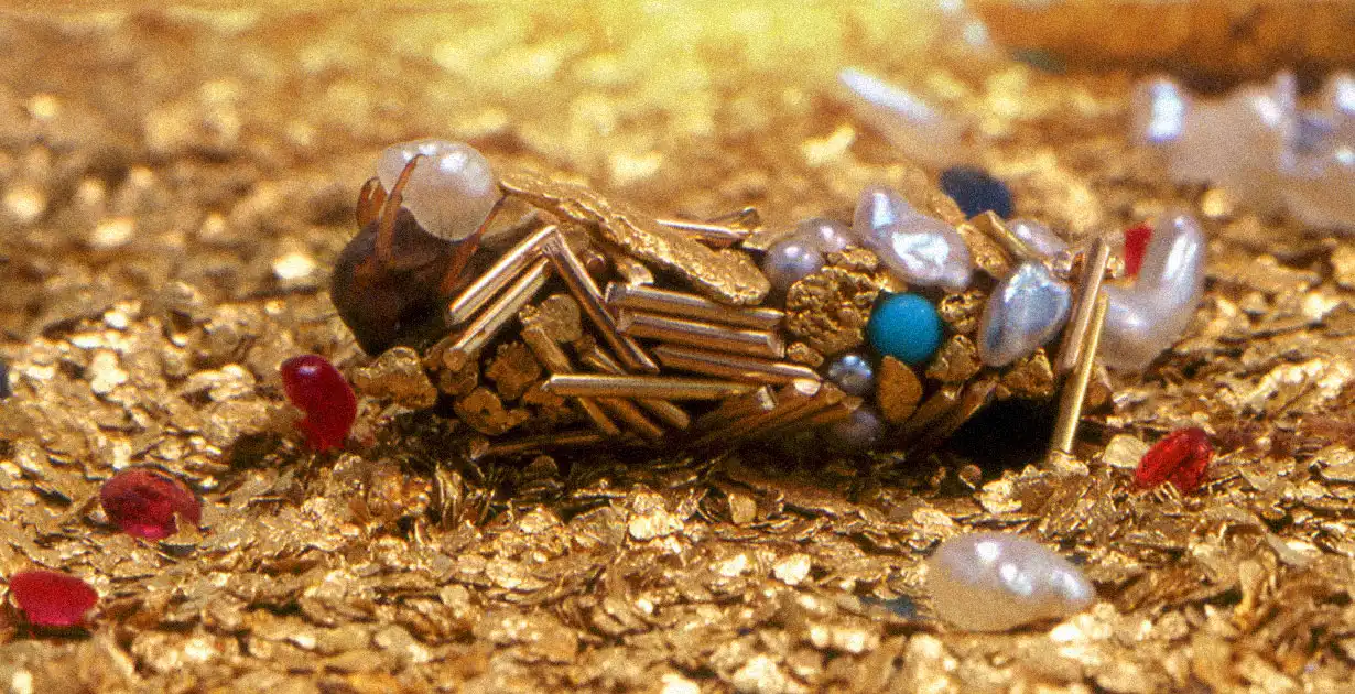 Golden cocoons: the artist surprised the world